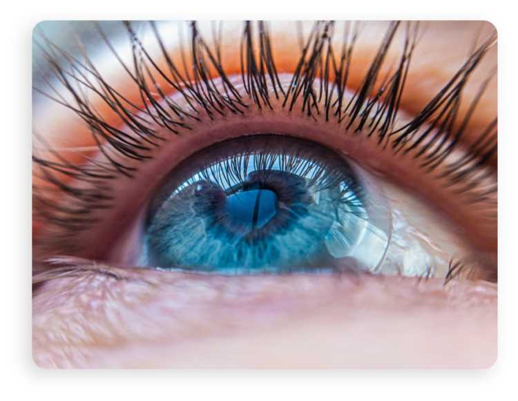 Uncompromising Quality - Clervision