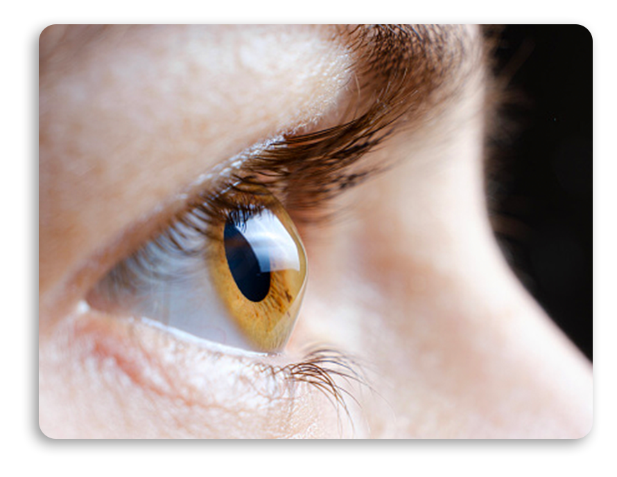 Eye Conditions - Clervision